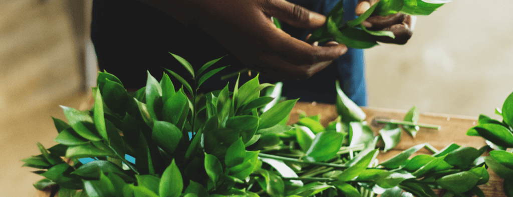 Rose & Loon | Rosedale Center